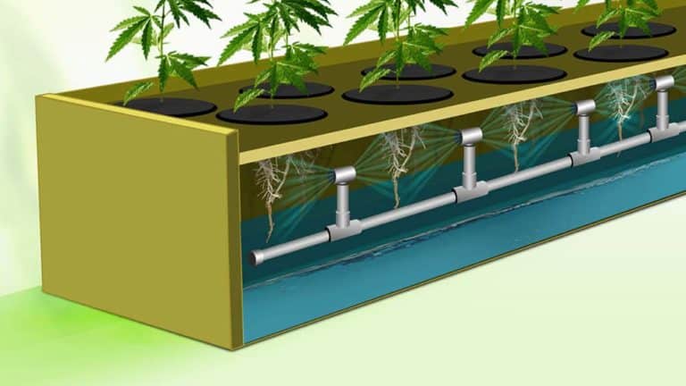Hydroponic Systems For Cannabis In Canada | 2020 Grow Guide