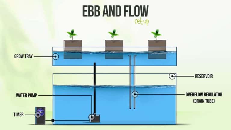 Hydroponic Systems For Cannabis In Canada | 2020 Grow Guide